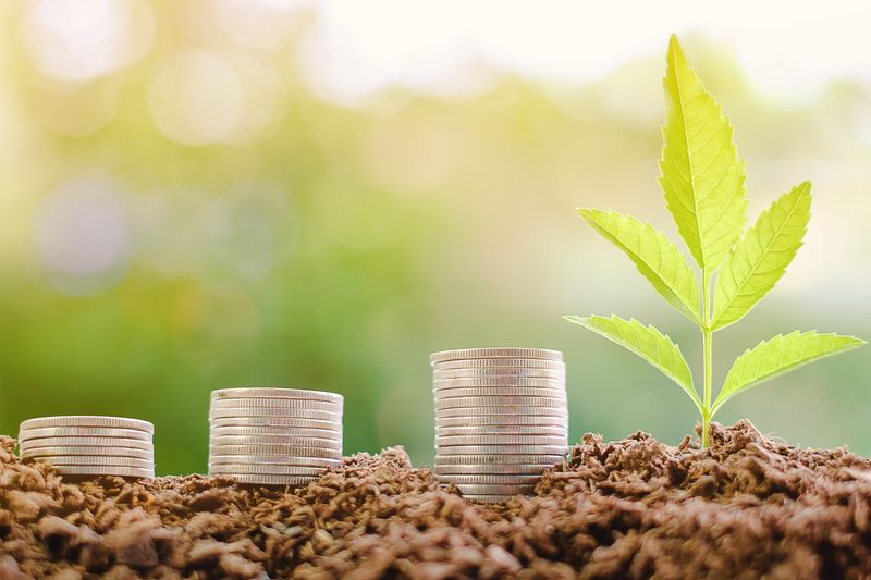 Få styr på "bæredygtig investering" | Nordea Invest